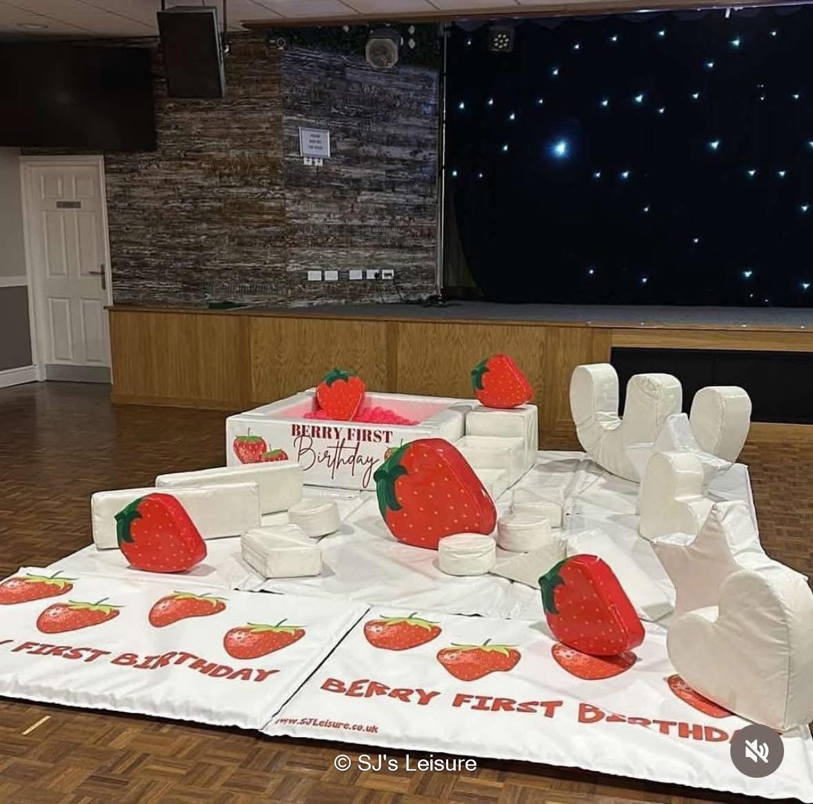 Indoor Very Berry Package - Inflatable & Fun Product Hire in Warrington ...
