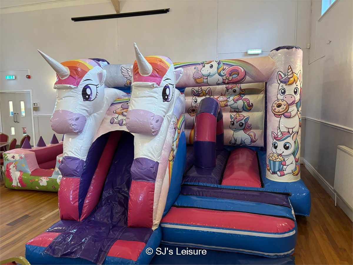 NEW PRODUCT - Indoor Unicorn Activity Combo - Inflatable & Fun Product ...