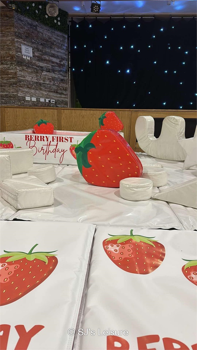 Very Berry Soft Play Set Up - Inflatable & Fun Product Hire in ...